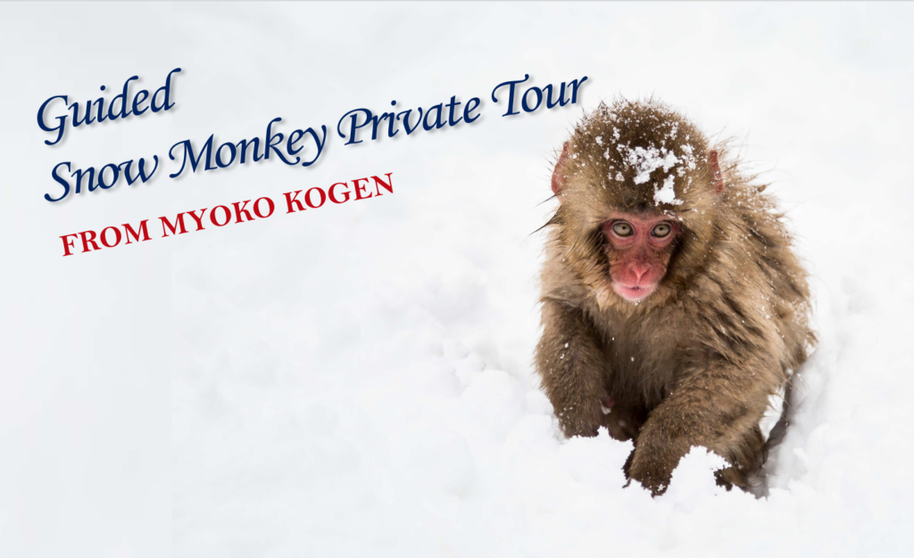 From Myoko : How To Get To The Snow Monkey Park - SNOW MONKEY RESORTS