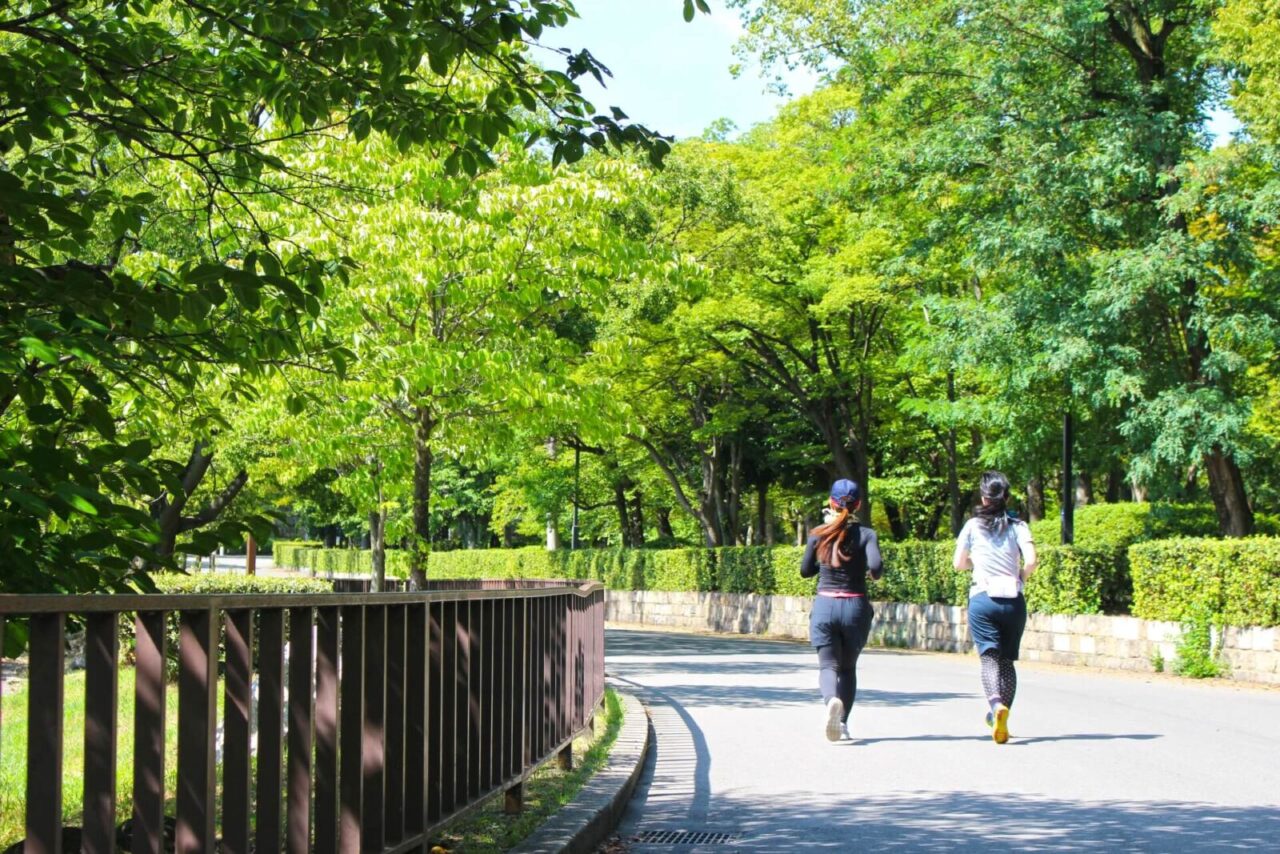 Japan Adventure Travel: Running, Trail-Running, Cycling & Mountain ...