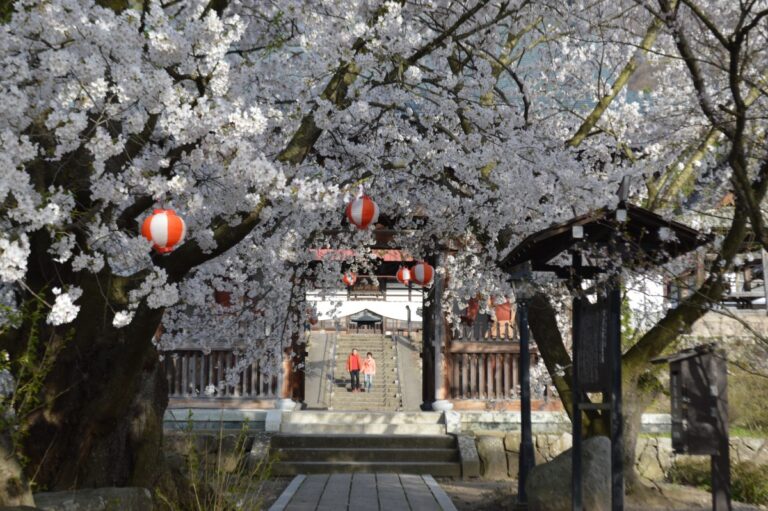 Best Places to Visit in Nagano During Spring - Snow Monkey Resorts