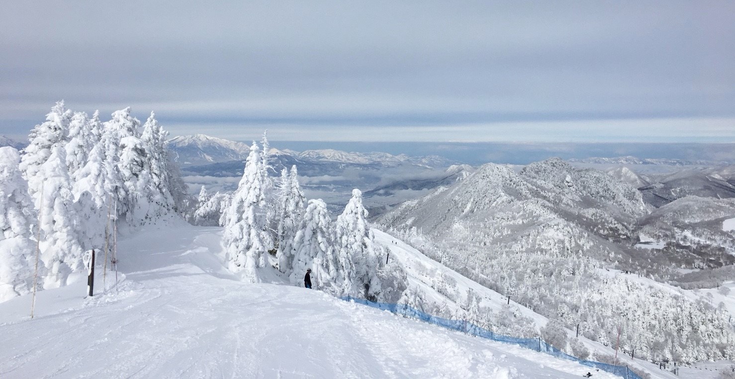 WHEN DOES IT START TO SNOW IN THE JIGOKUDANI MONKEY AREA? - SNOW MONKEY ...