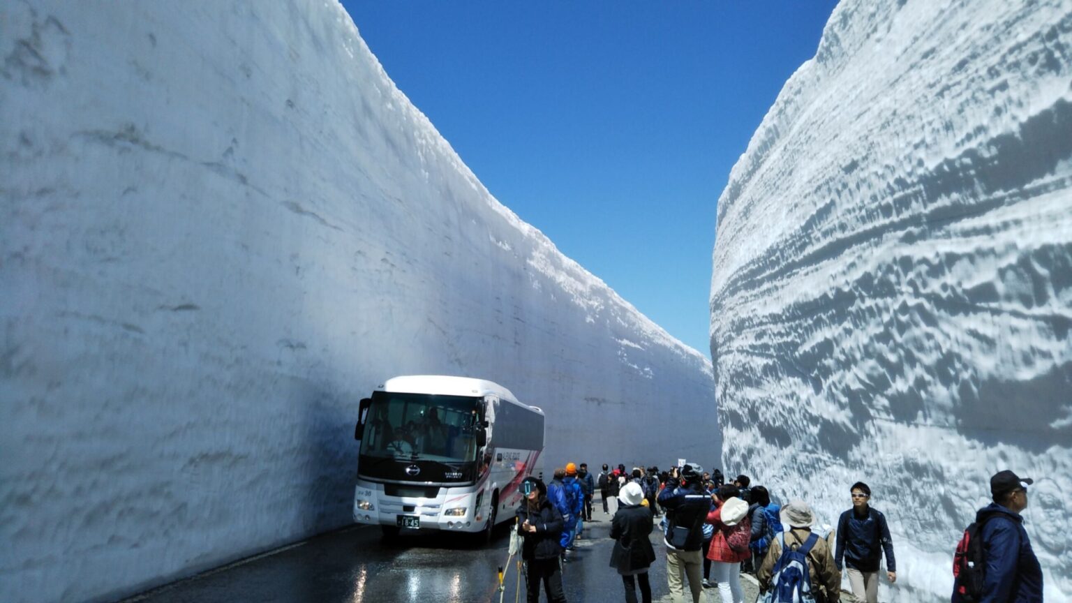 Japan in May 2026 – What to Know - Snow Monkey Resorts