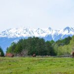 Where To Stay In The Kiso Valley & Nakasendo? - SNOW MONKEY RESORTS