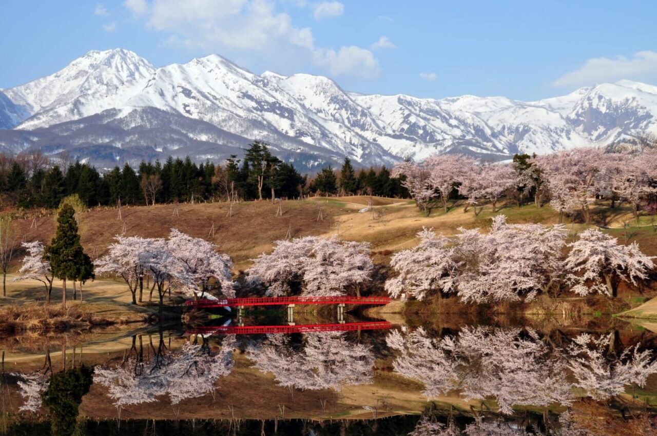 Best Places to Stay in Myoko Kogen - SNOW MONKEY RESORTS