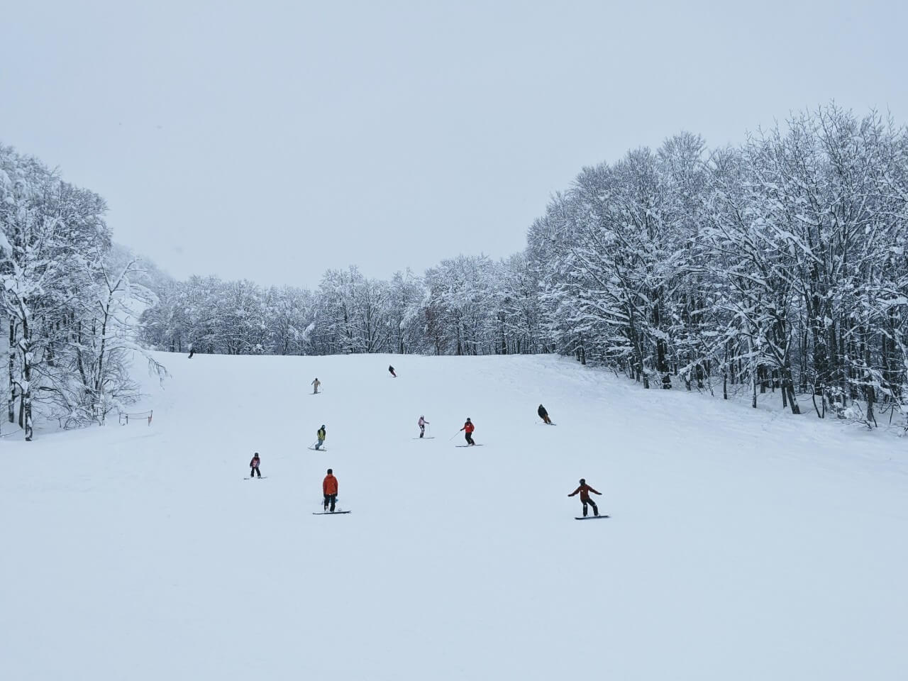 Hakuba 47 Winter Sports Park - SNOW MONKEY RESORTS