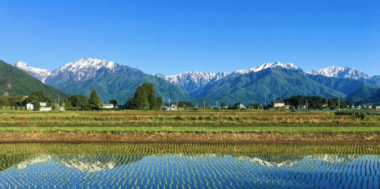 20 Things To Do In Azumino & Where To Stay - SNOW MONKEY RESORTS