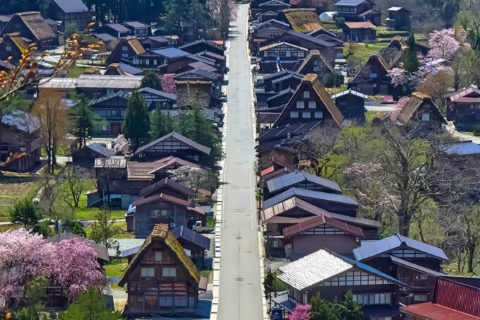 Best Places to Visit in Takayama During Spring - Snow Monkey Resorts