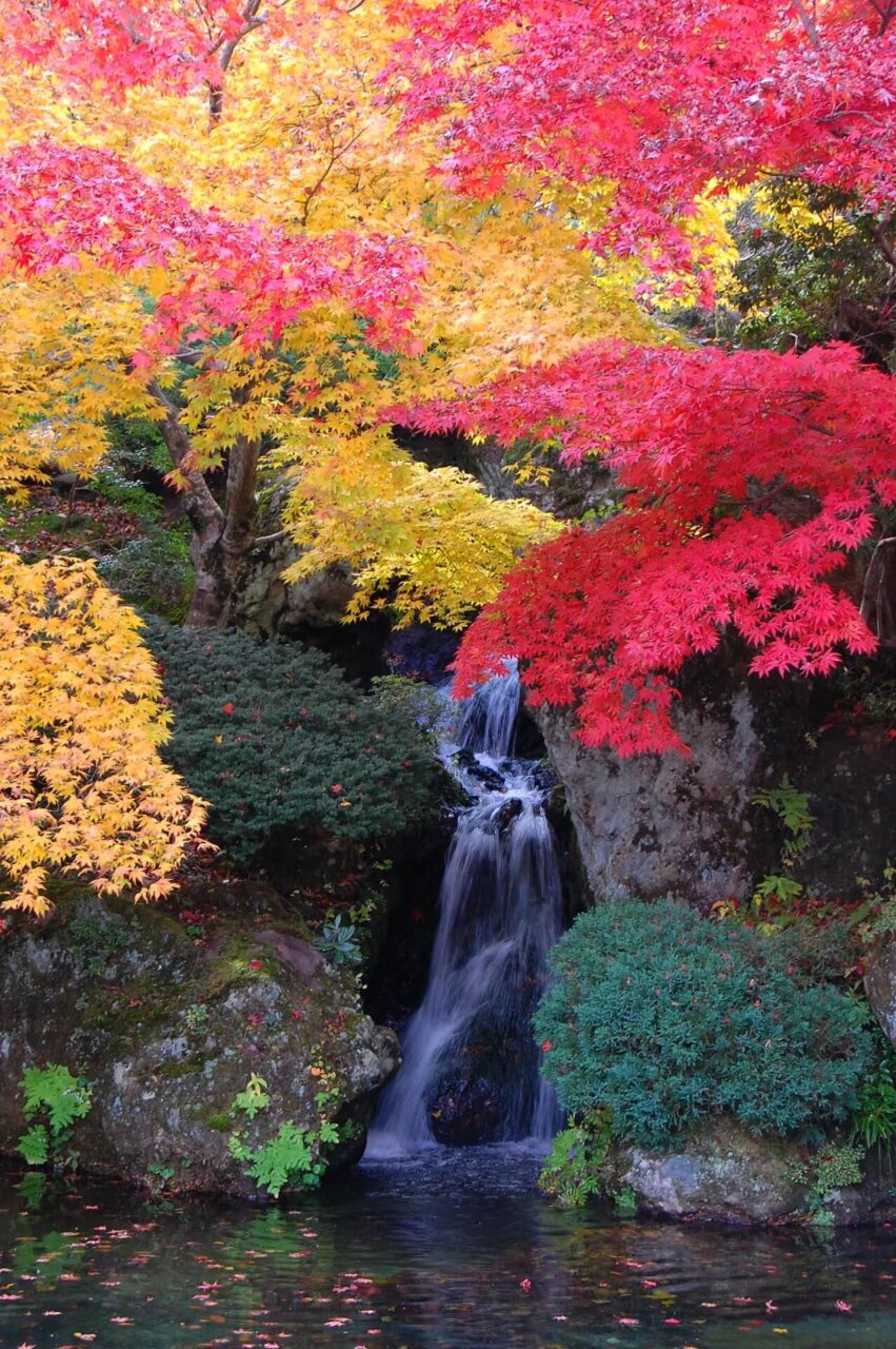 10 Things To Do In Hakone & Where to Stay - SNOW MONKEY RESORTS