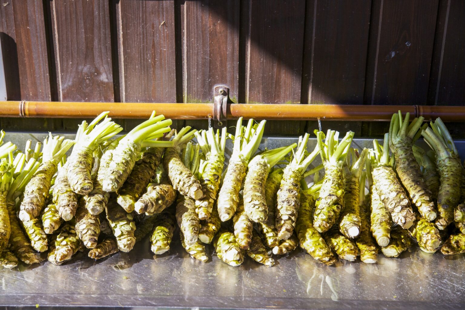 1-Day Tour from Hakuba: Your Perfect Rest Day featuring Azumino Wasabi ...