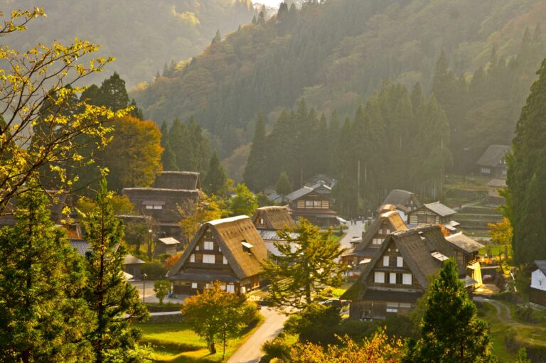 Limited Express Thunderbird (Osaka-Kyoto-Tsuruga) - SNOW MONKEY RESORTS