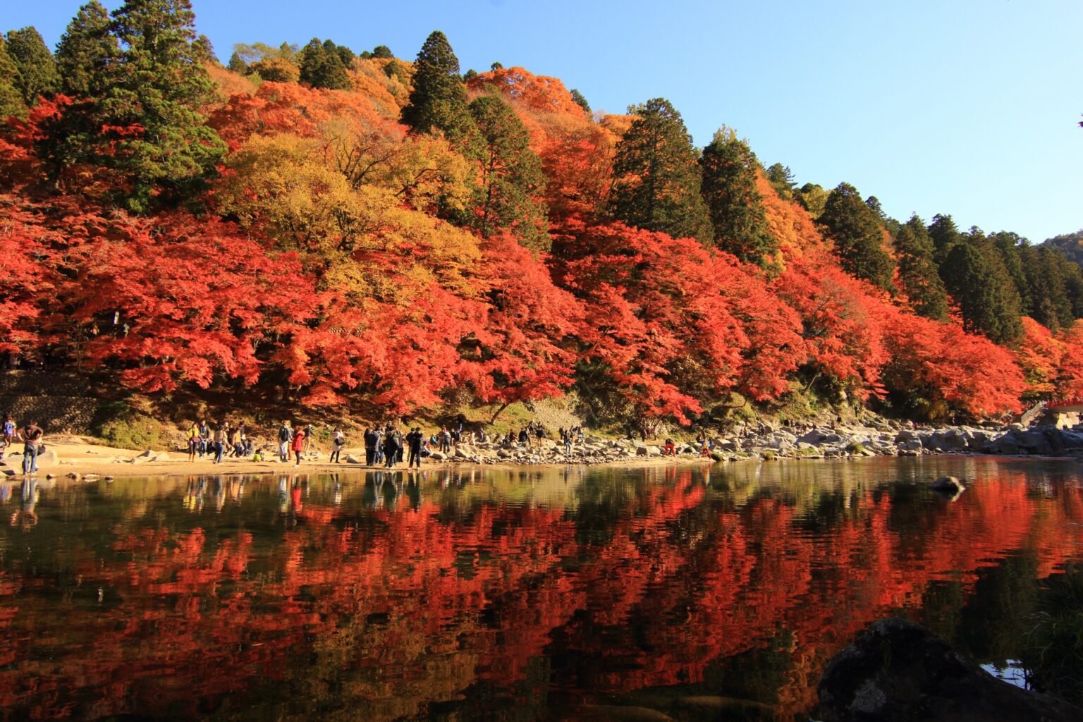 25 Things to Do Around Nagoya & Where to Stay - SNOW MONKEY RESORTS