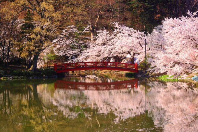 Best Places to Visit in Nagano During Spring - Snow Monkey Resorts