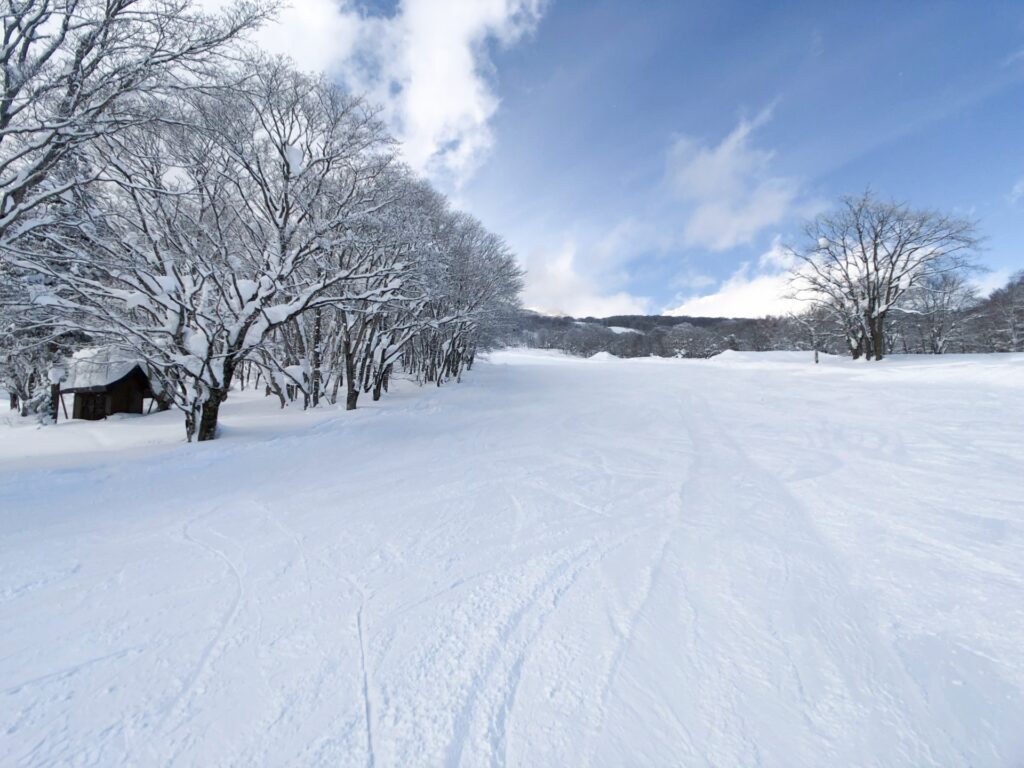 25 Things To Do In & Around Myoko Kogen - SNOW MONKEY RESORTS