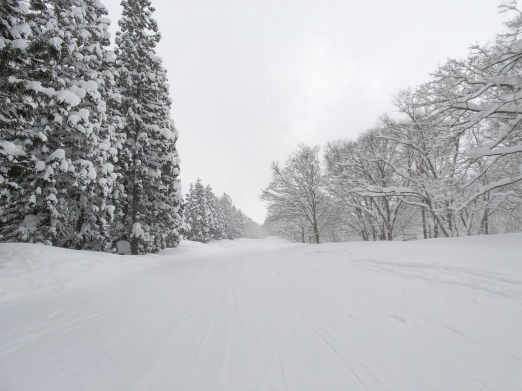 25 Things To Do In & Around Myoko Kogen - SNOW MONKEY RESORTS