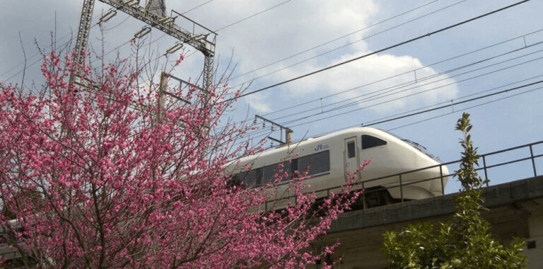 Limited Express Thunderbird (Osaka-Kyoto-Tsuruga) - SNOW MONKEY RESORTS