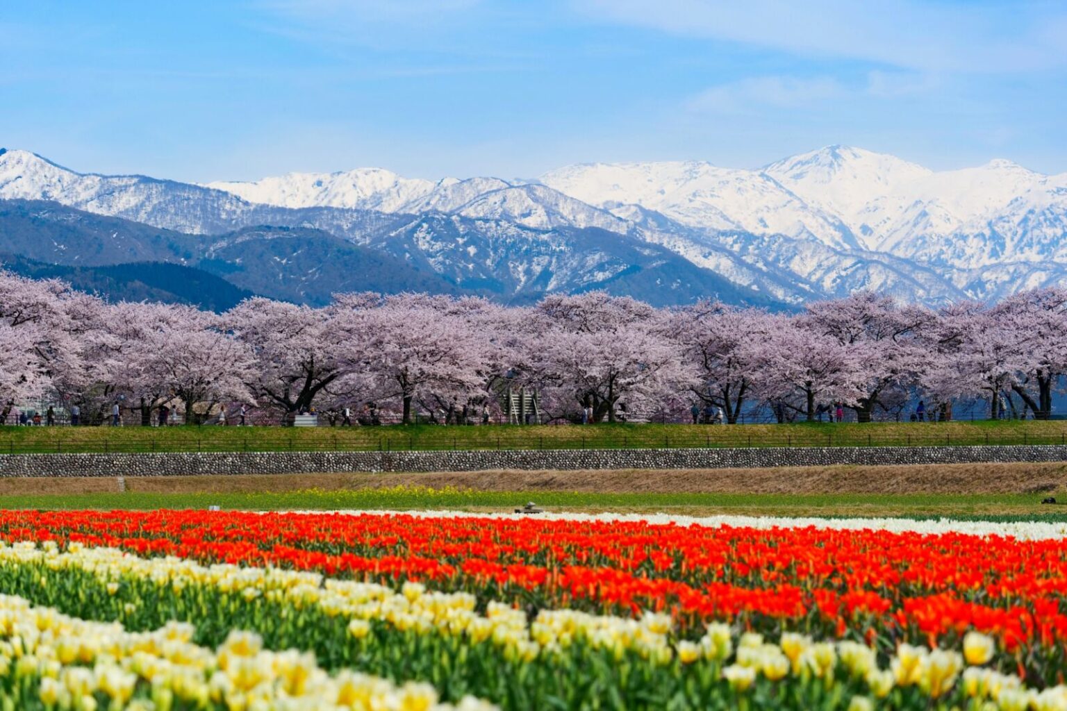 25 Things to Do Around Toyama & Where to Stay - SNOW MONKEY RESORTS