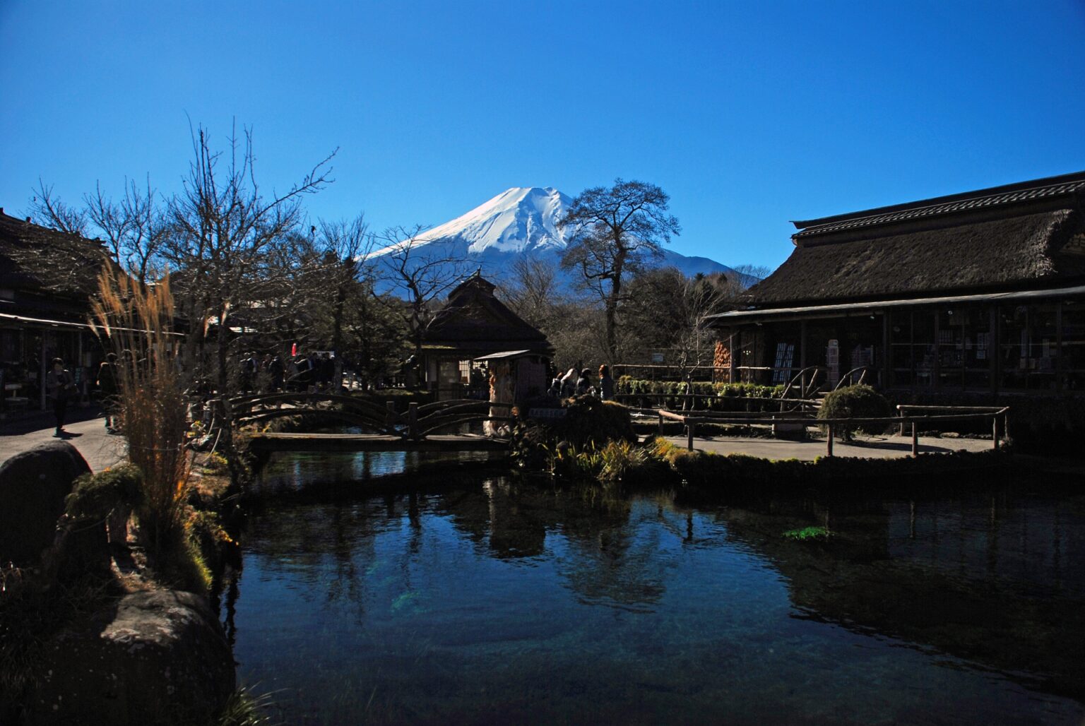 1 Day Tour : Mount Fuji and Hakone - SNOW MONKEY RESORTS
