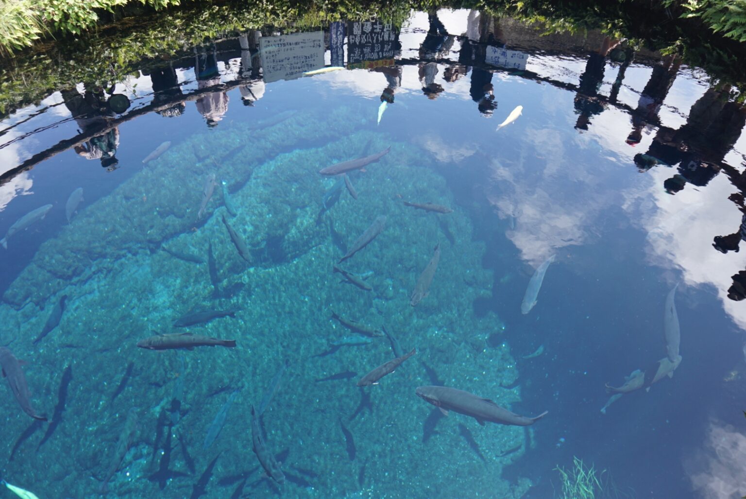 1 Day Tour : Mount Fuji and Hakone - SNOW MONKEY RESORTS