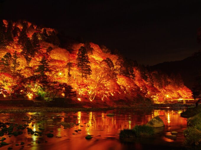 Nagoya in December 2025 - What to Know - Snow Monkey Resorts