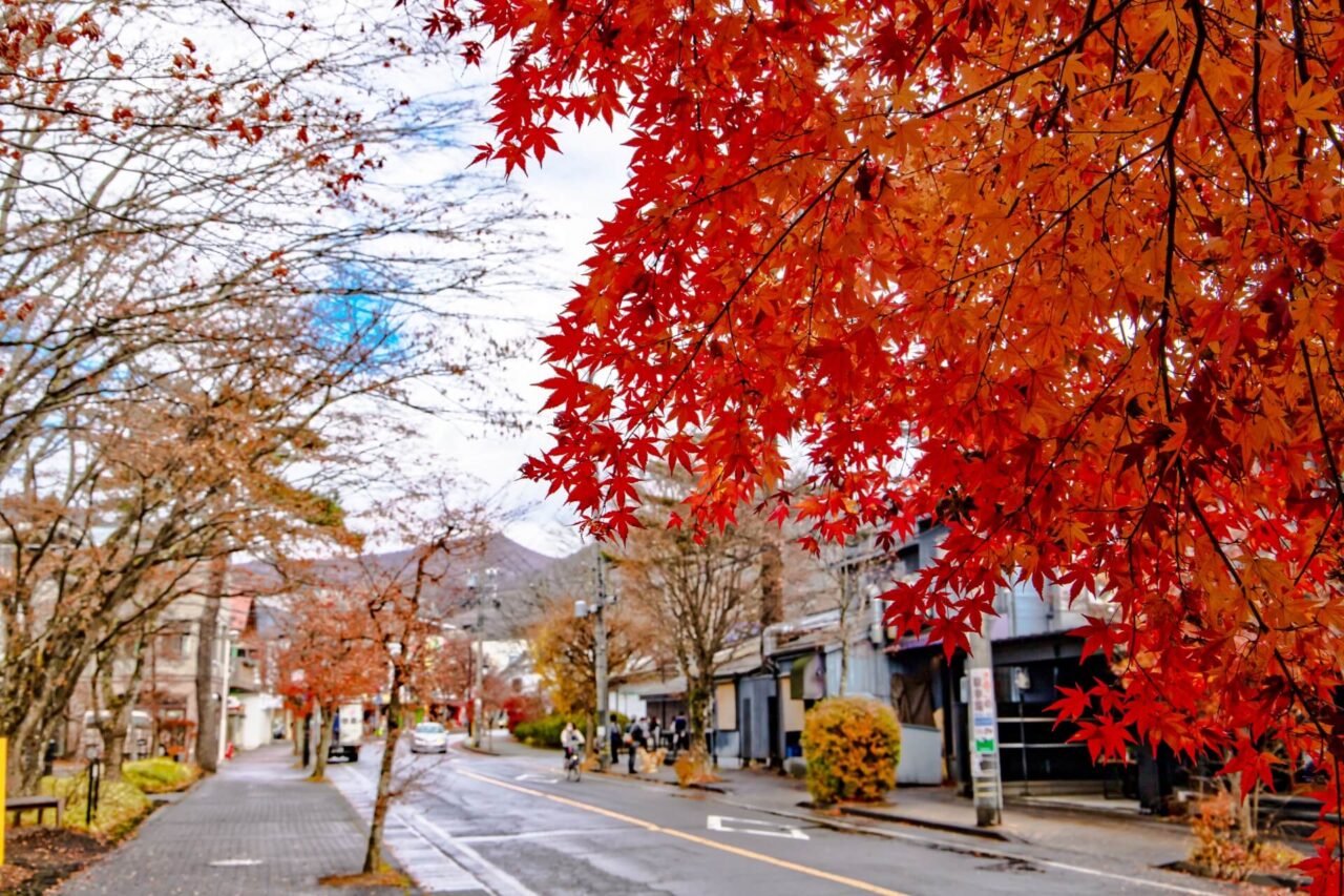 30 Things to Do Around Karuizawa & Where to Stay - SNOW MONKEY RESORTS