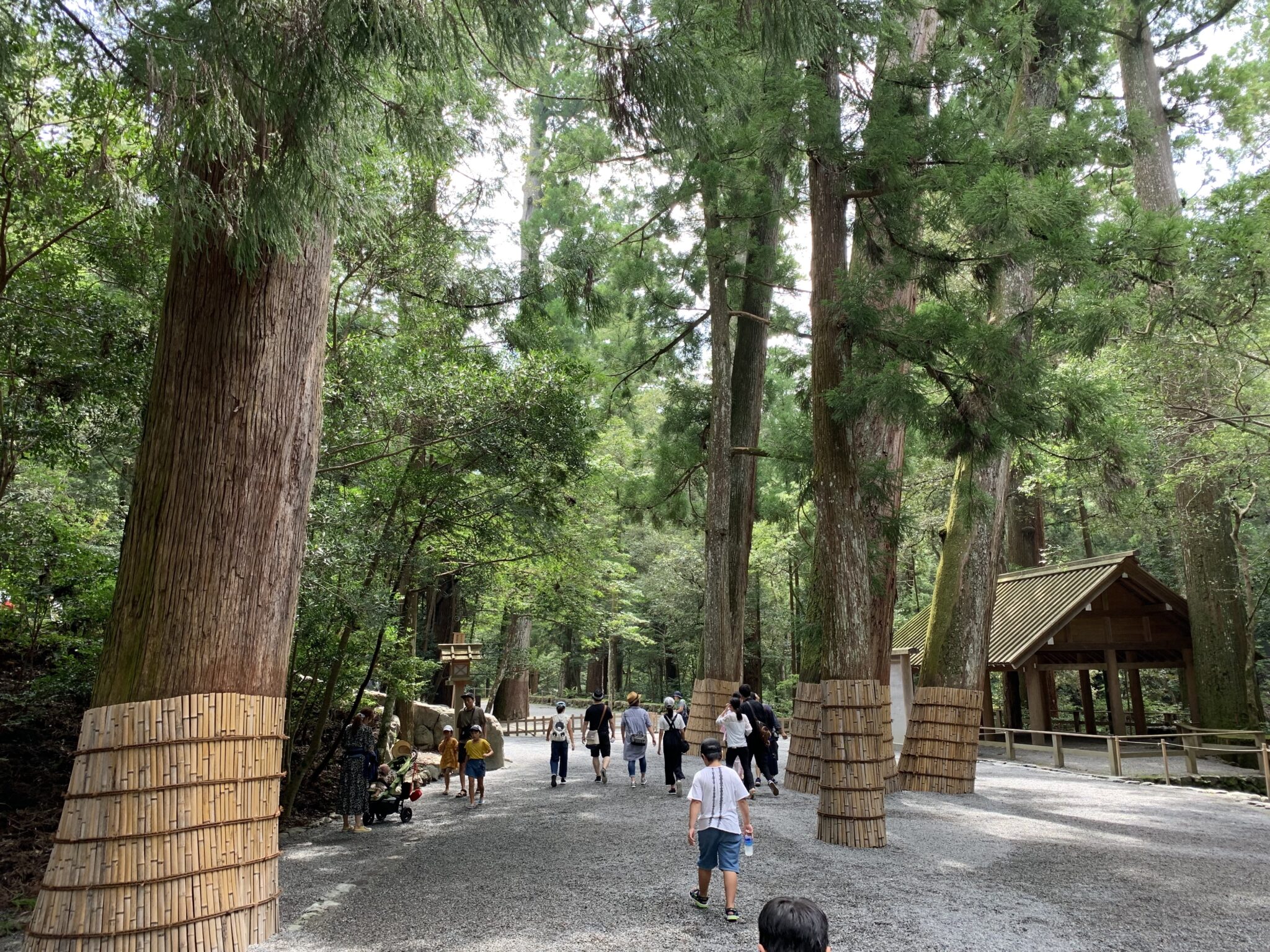 25 Things to Do Around Nagoya & Where to Stay - SNOW MONKEY RESORTS