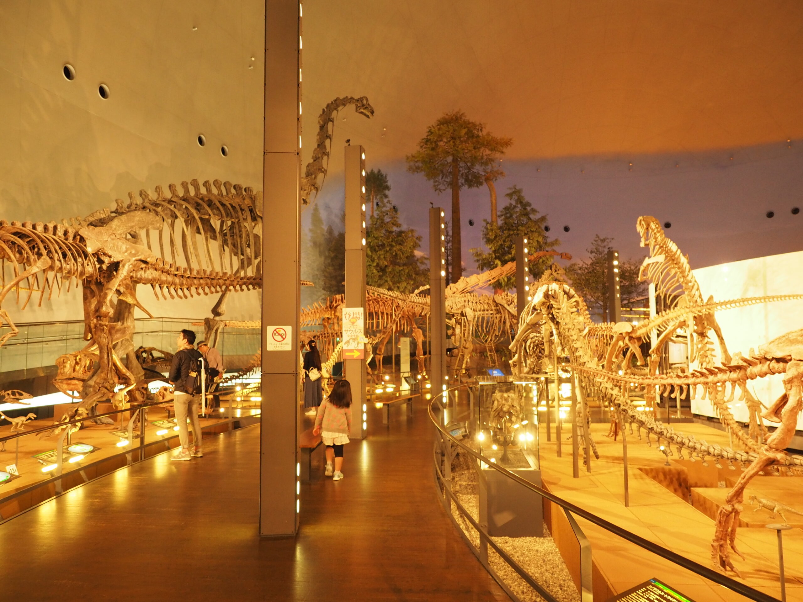 Fukui Prefectural Dinosaur Museum - SNOW MONKEY RESORTS