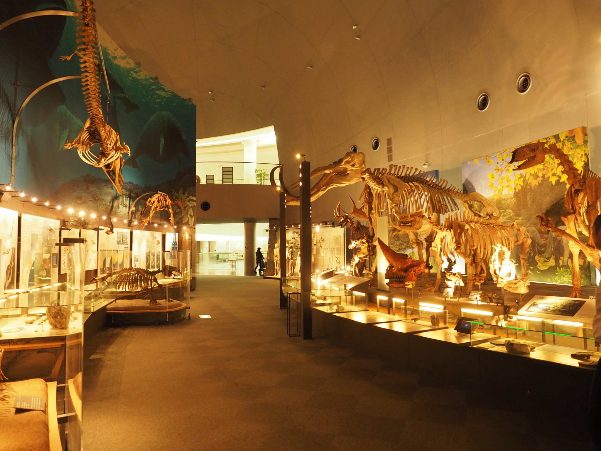 Fukui Prefectural Dinosaur Museum - SNOW MONKEY RESORTS