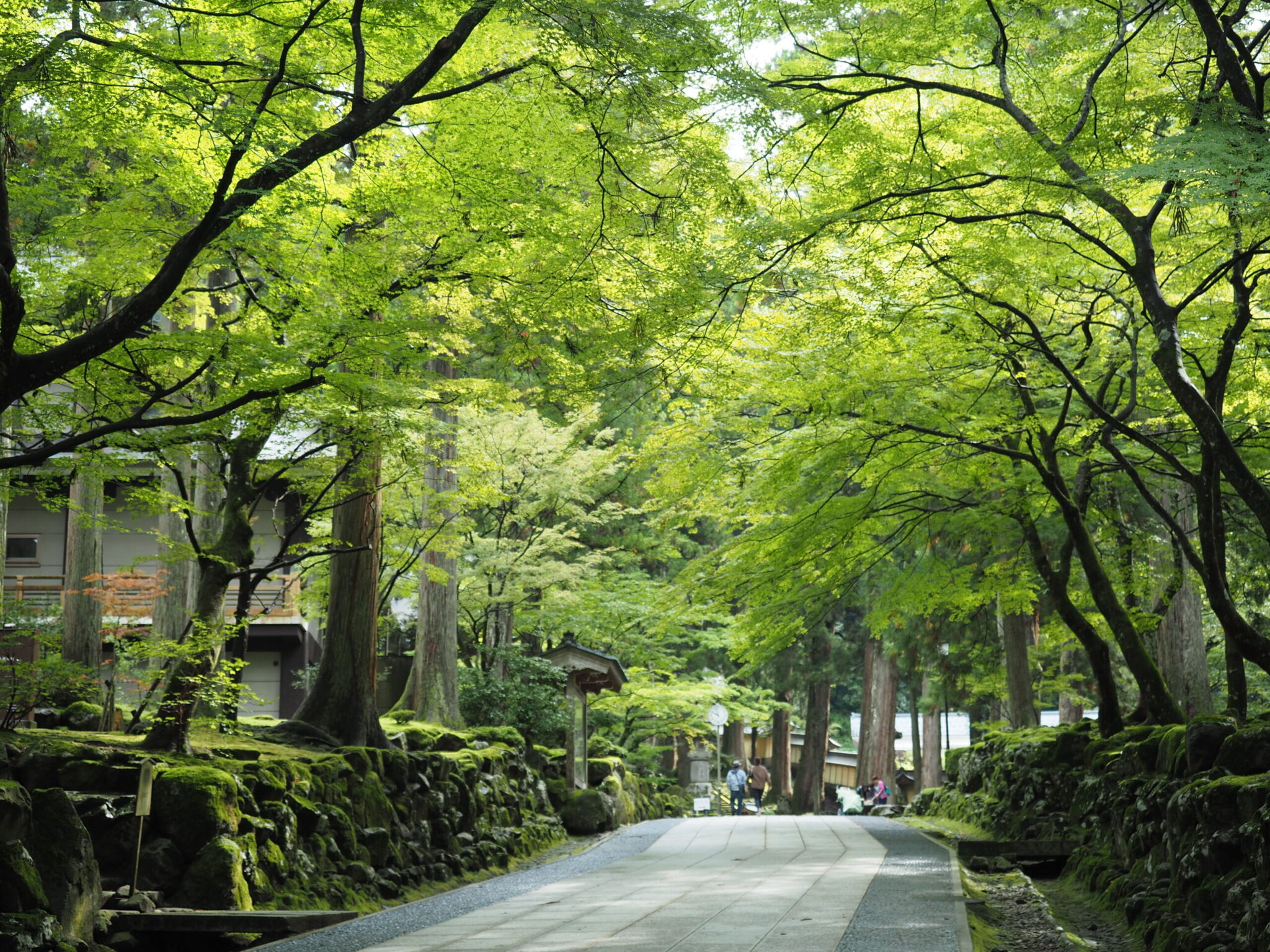 10 Things to Do in Fukui - SNOW MONKEY RESORTS