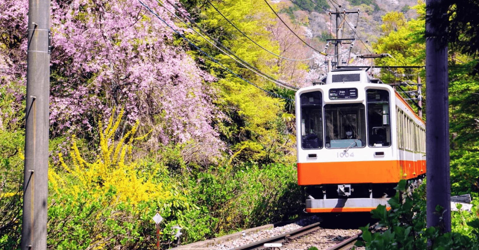 20 Things to Do Around Hakone & Where to Stay - Snow Monkey Resorts
