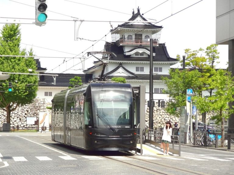 1 Day Tour in Toyama: Stunning Streetscapes, Beautiful Views and Local ...
