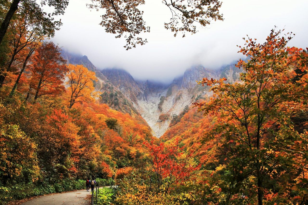 Recommended Adventure Travel Destinations in Japan - SNOW MONKEY RESORTS