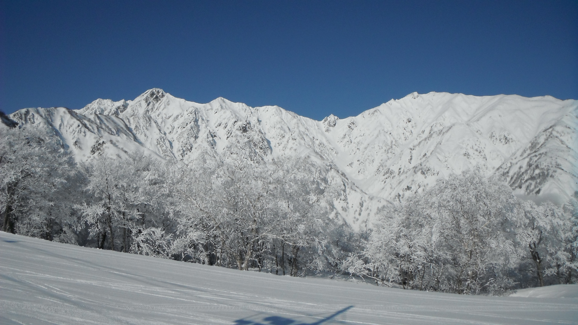 Hakuba Goryu Snow Resort - SNOW MONKEY RESORTS