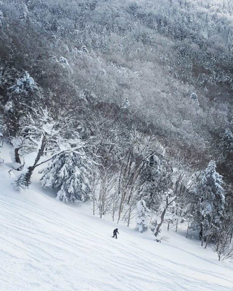 30 Things to Do Around Shiga Kogen & Where to Stay - SNOW MONKEY RESORTS