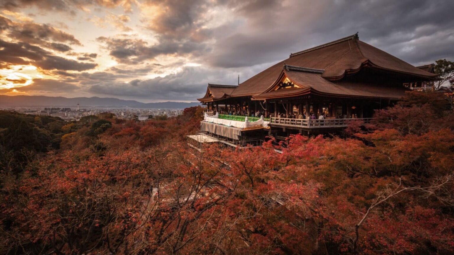 40 Things to Do in Kyoto, Nara & Osaka - SNOW MONKEY RESORTS