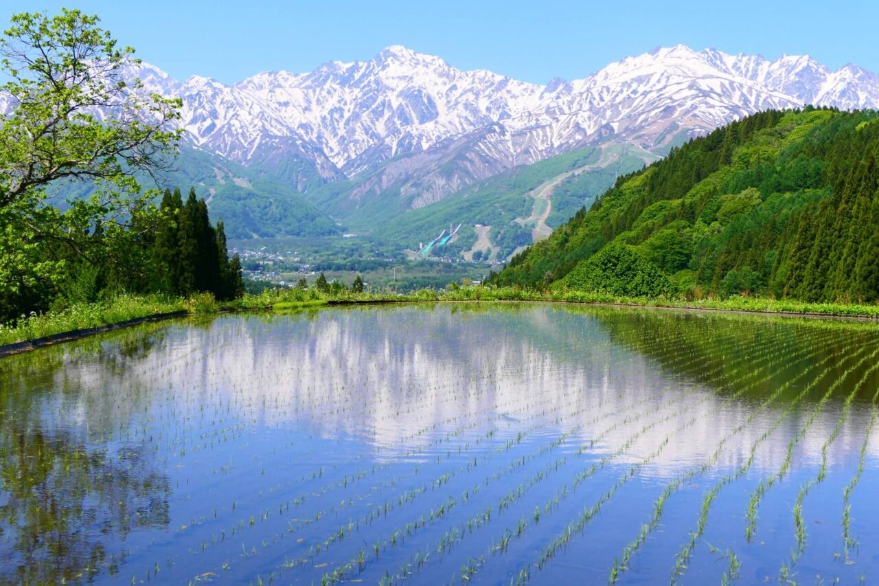 Hakuba Shuttle Bus Timetable - SNOW MONKEY RESORTS