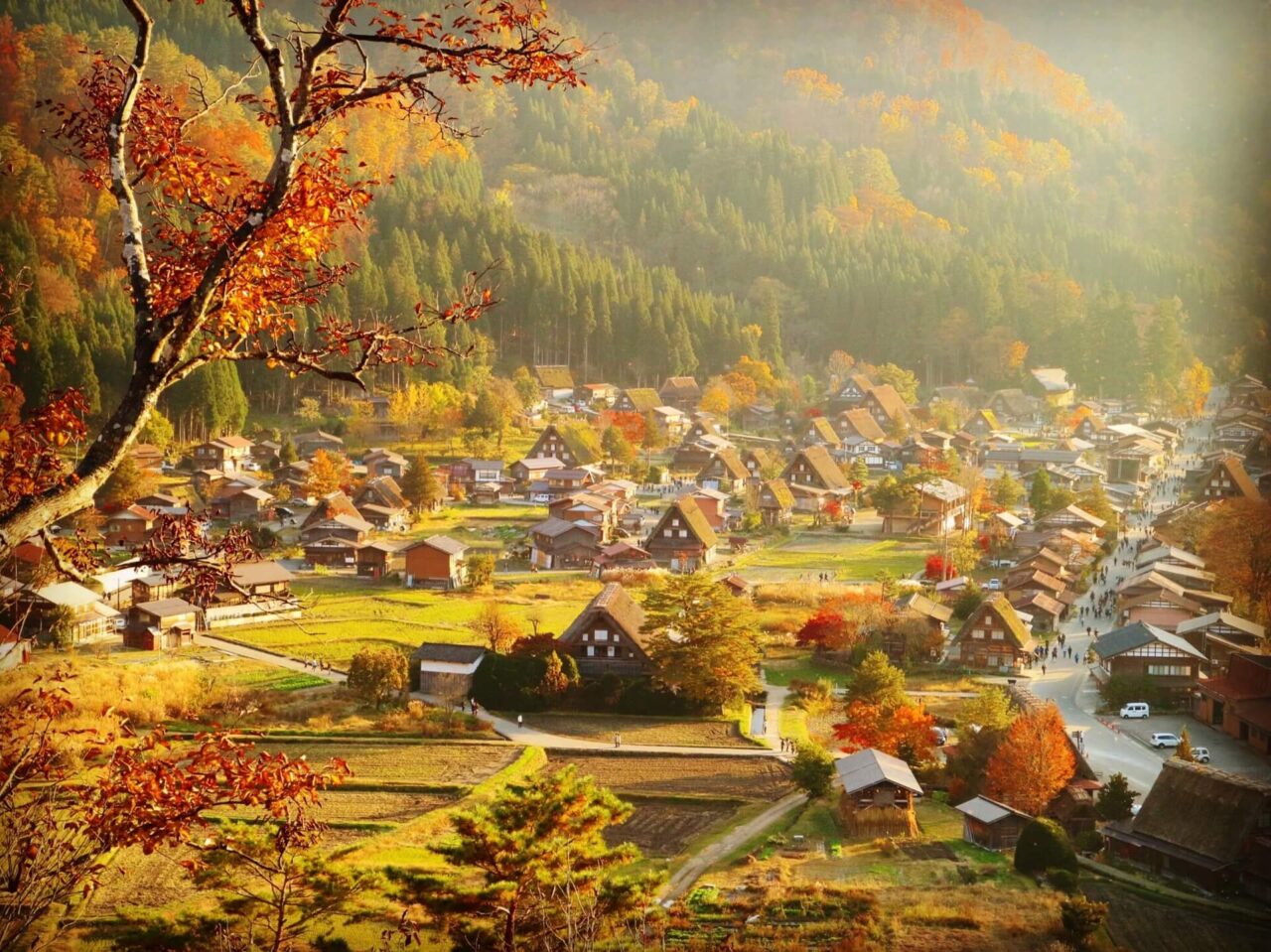 Autumn Leaves in Nagano: When and Where to Enjoy the 2024 Season - SNOW ...