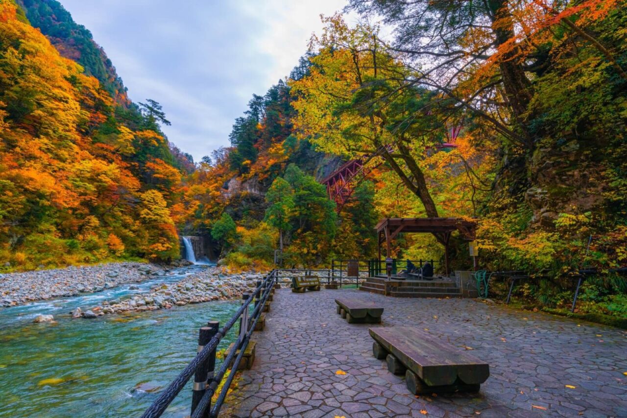 Autumn Leaves in Nagano: When and Where to Enjoy the 2024 Season - SNOW ...