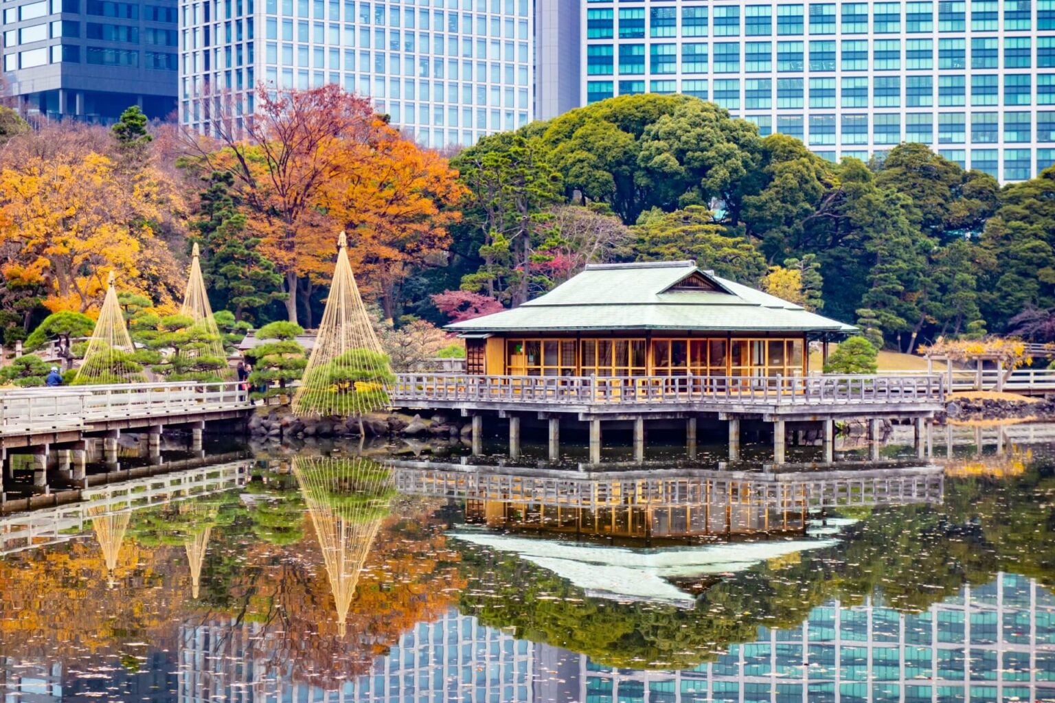 Tokyo in October 2025 - What to Know - Snow Monkey Resorts