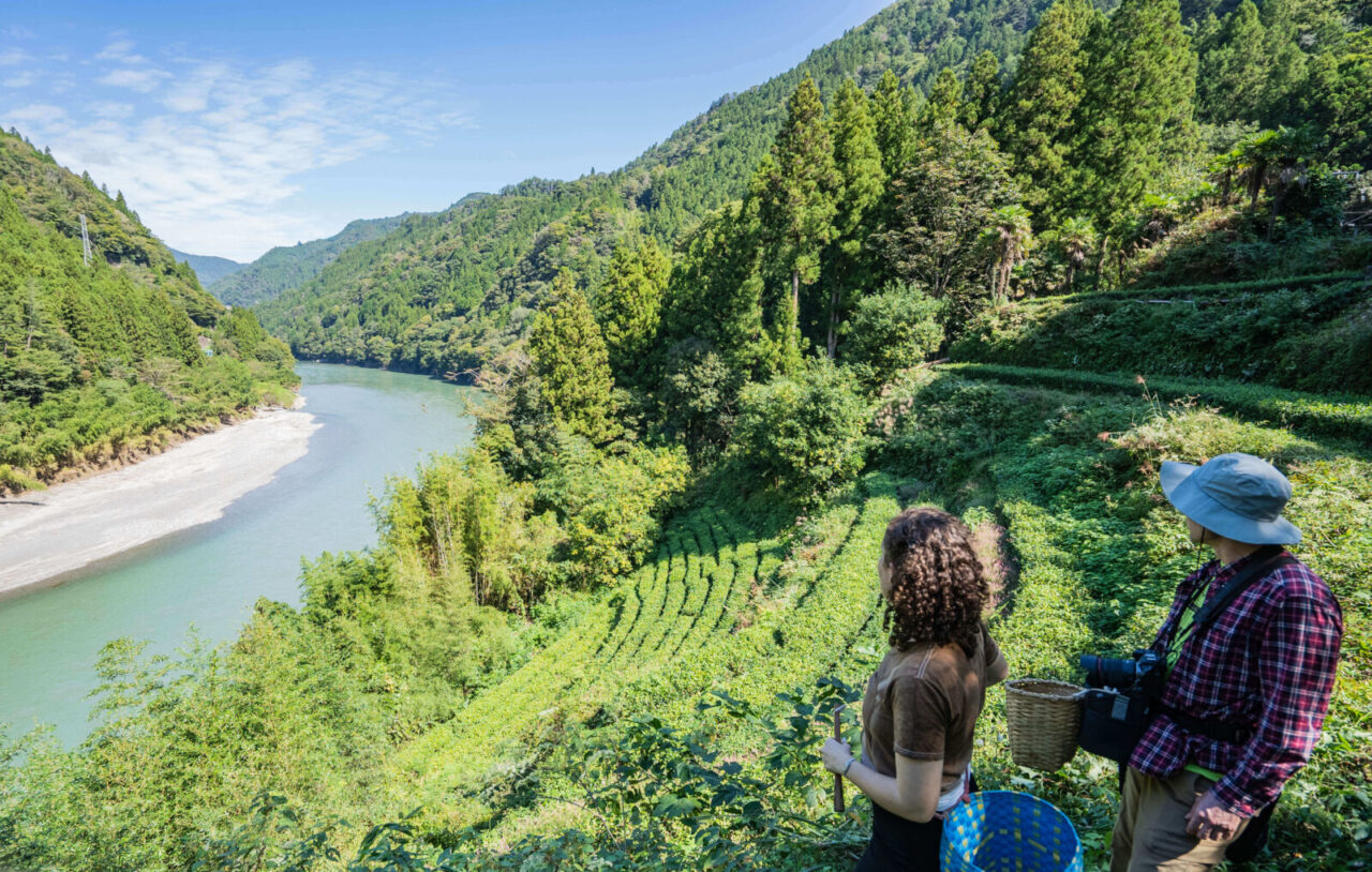 2-Day Tour: Tenryu River-Rafting, Local BBQ & Tea-Picking Experience ...