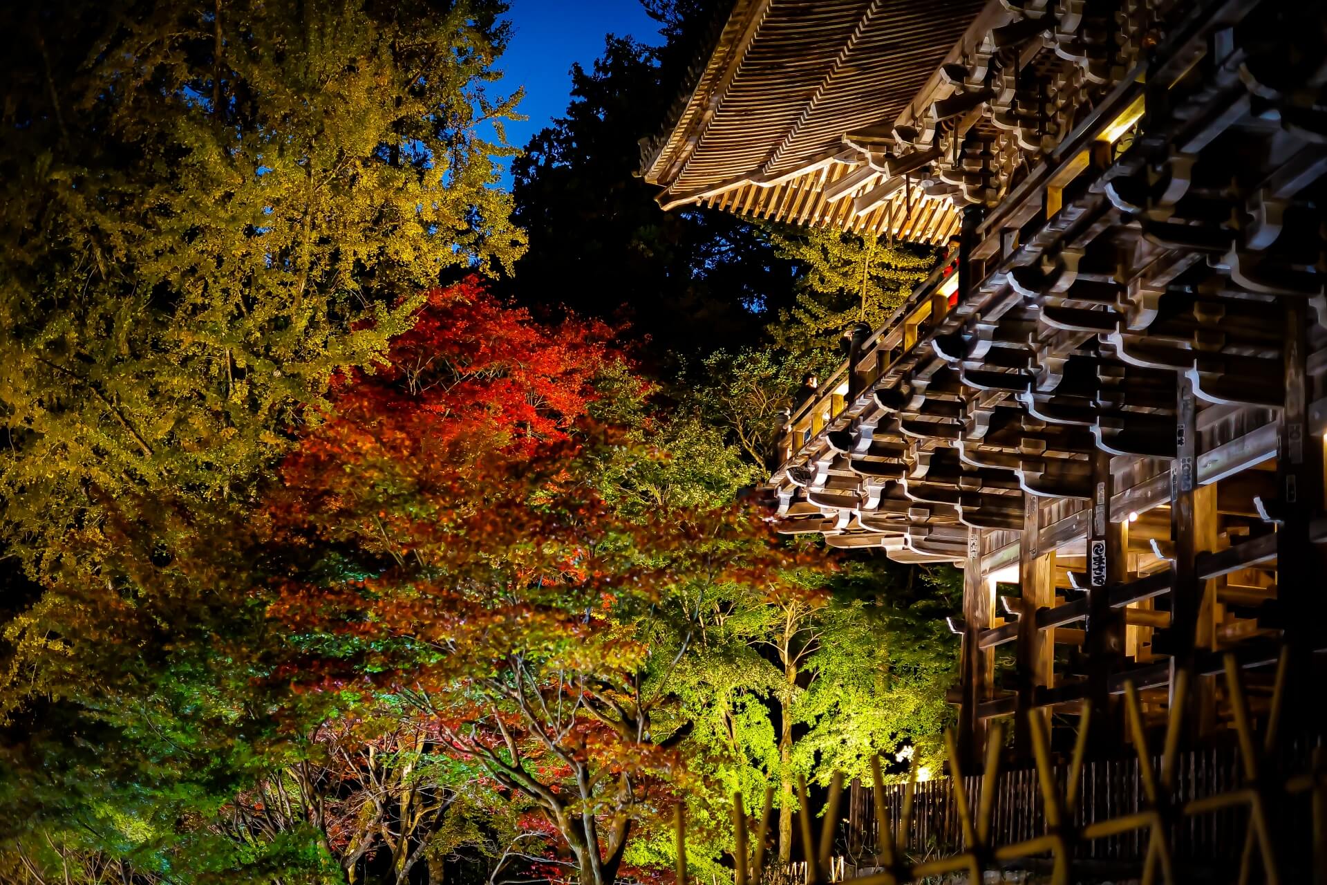Best Spots for Autumn Leaves Around Kobe - Snow Monkey Resorts