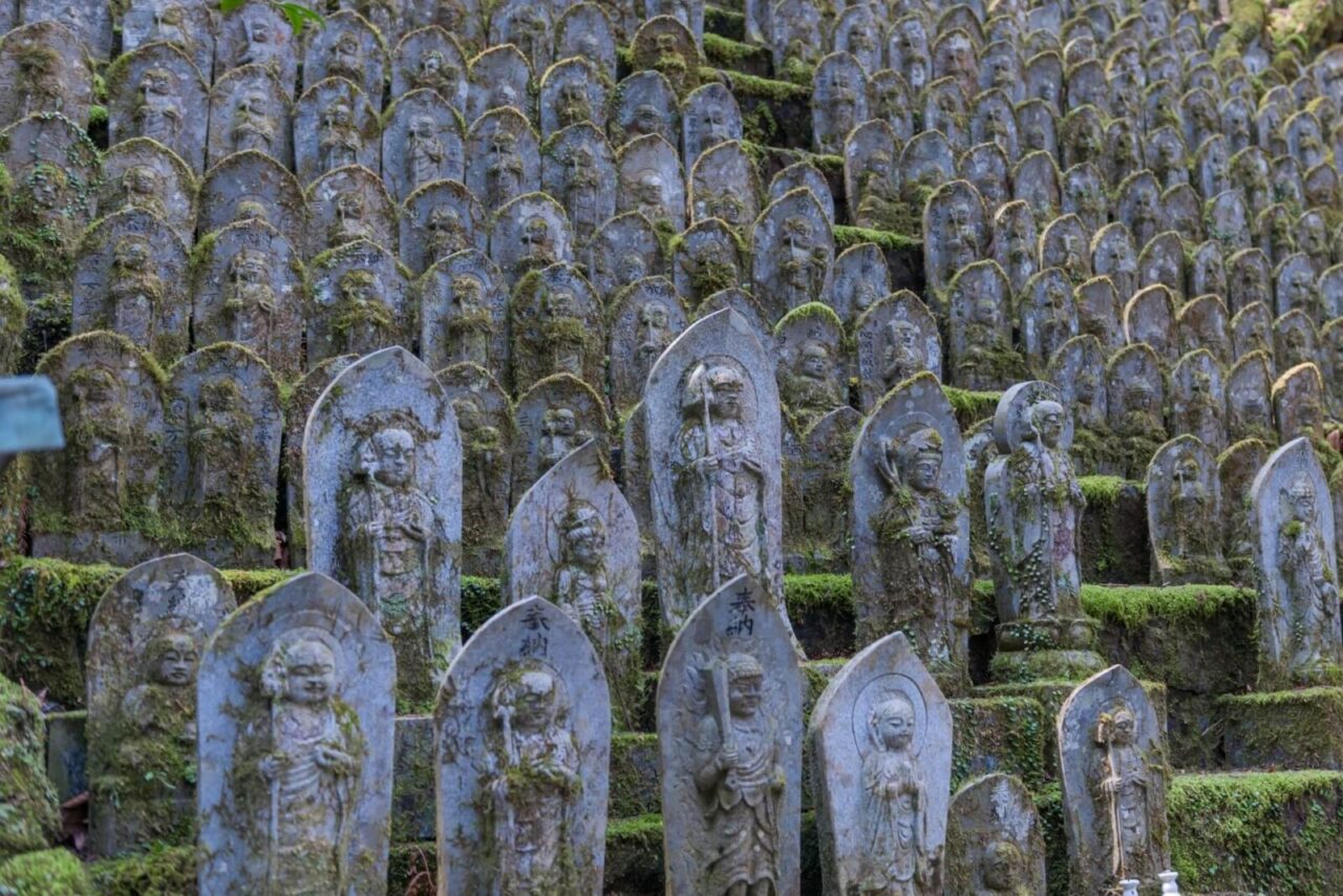 30 Things to Do Around Shikoku & Where to Stay - SNOW MONKEY RESORTS