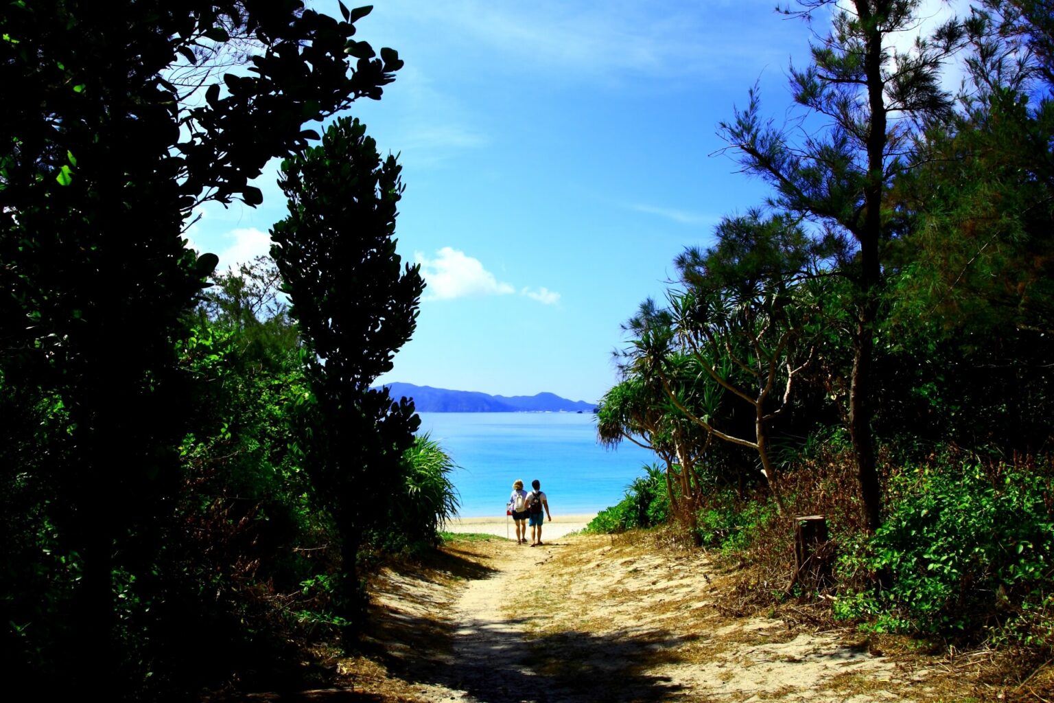 Okinawa: Zamami Island - SNOW MONKEY RESORTS