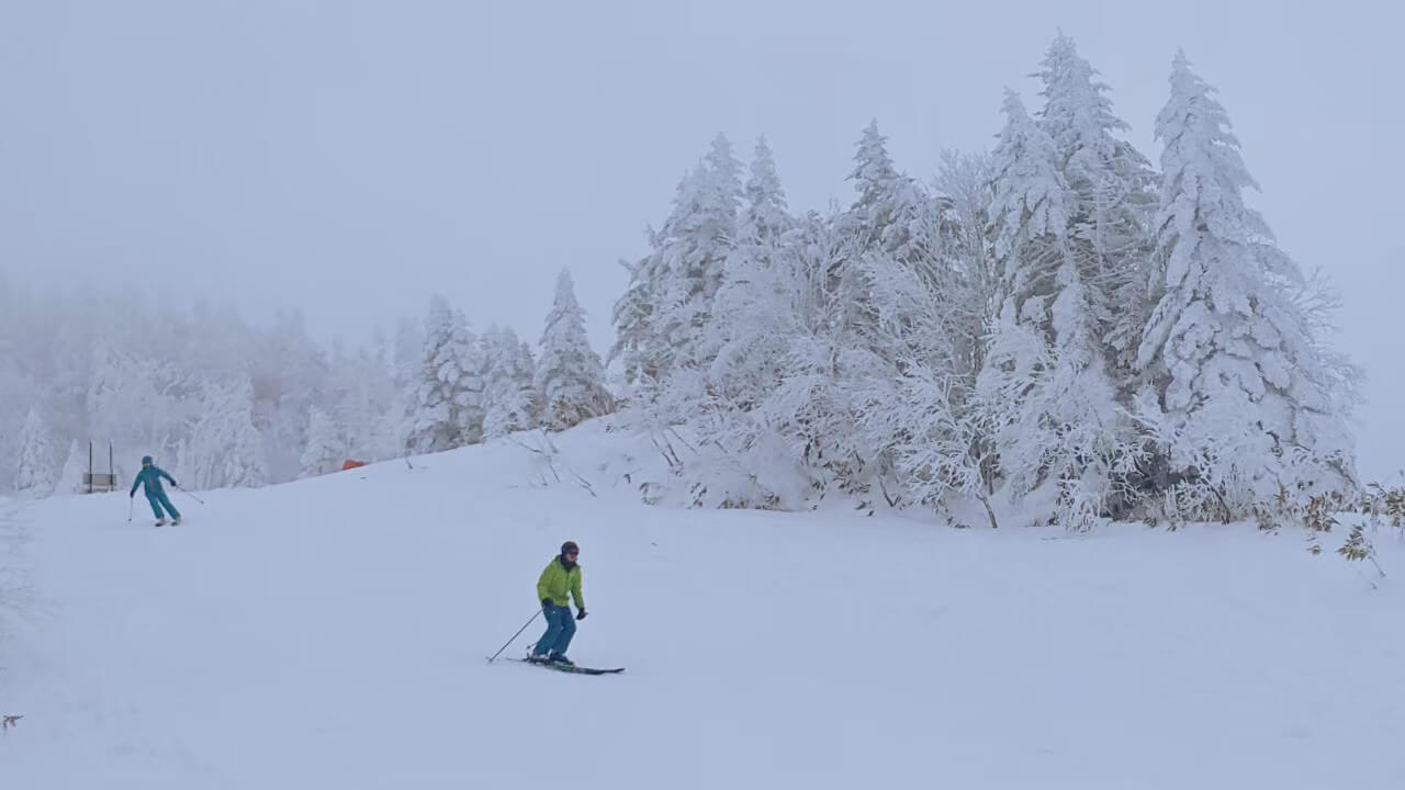Hotel Mount Shiga - SNOW MONKEY RESORTS