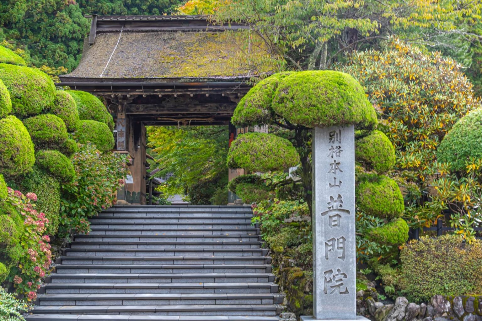 15 Things to Do Around Koyasan (Mount Koya) & Where to Stay - SNOW ...