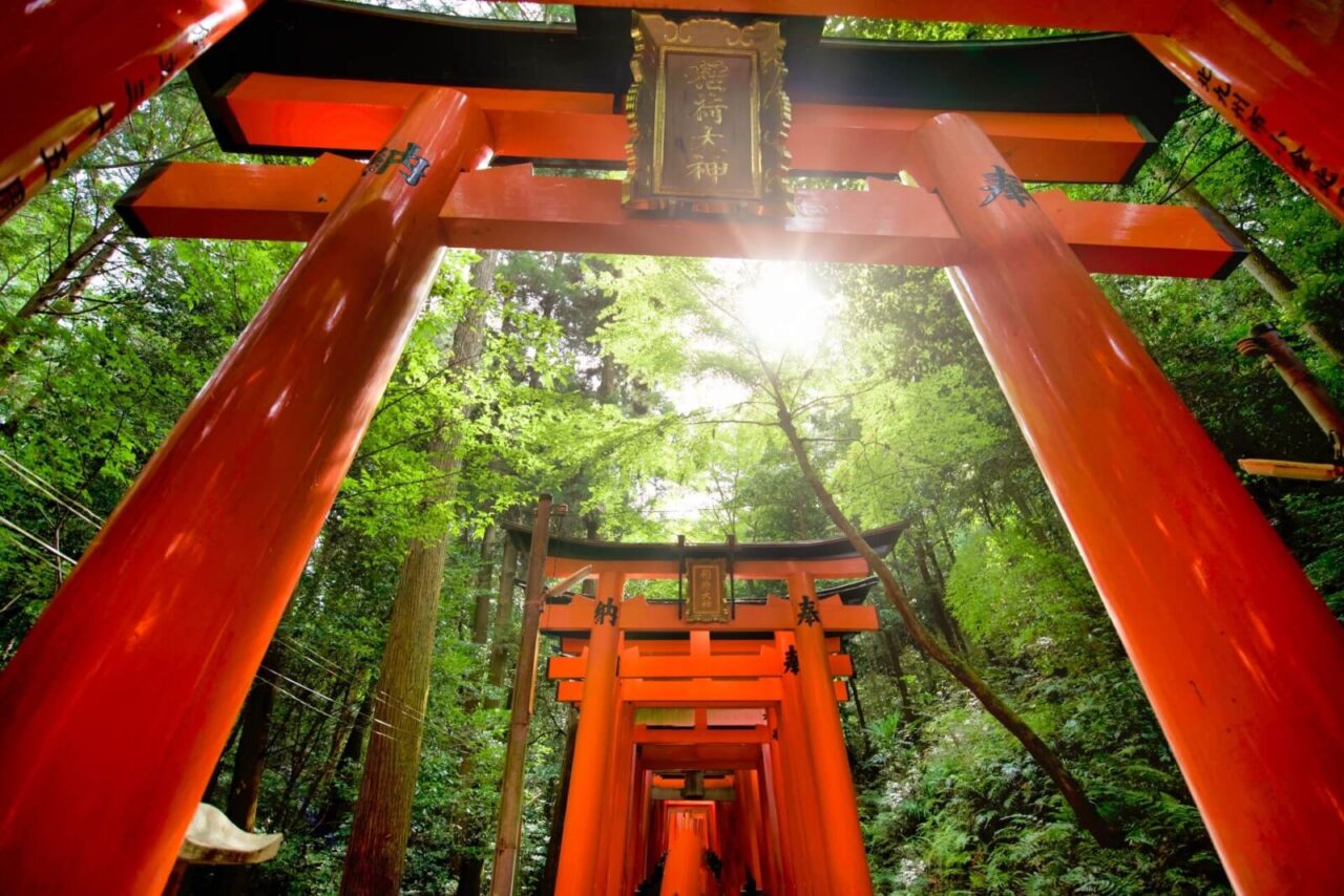 Fushimi Inari Taisha - SNOW MONKEY RESORTS