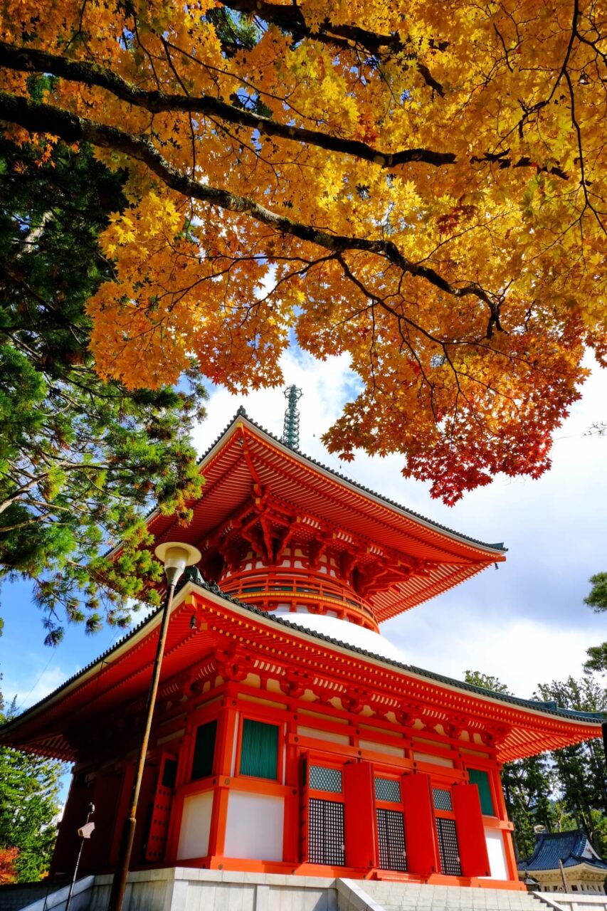 Explore Koyasan (Mount Koya) - SNOW MONKEY RESORTS