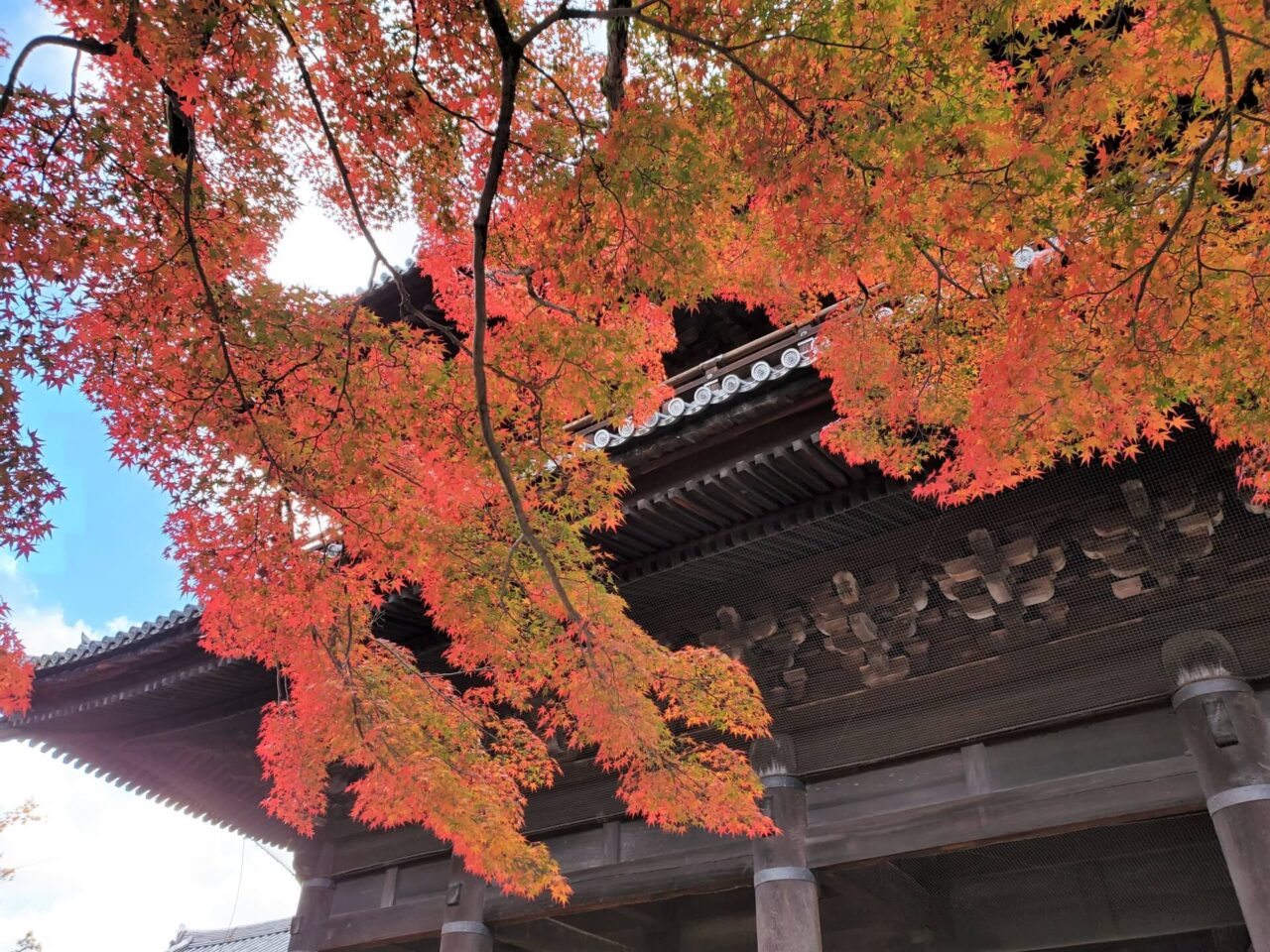 南禅寺 - SNOW MONKEY RESORTS