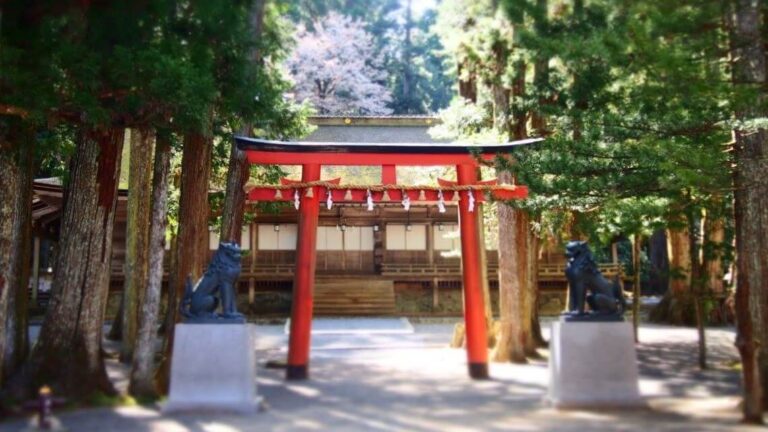 15 Things to Do Around Koyasan (Mount Koya) & Where to Stay - SNOW ...