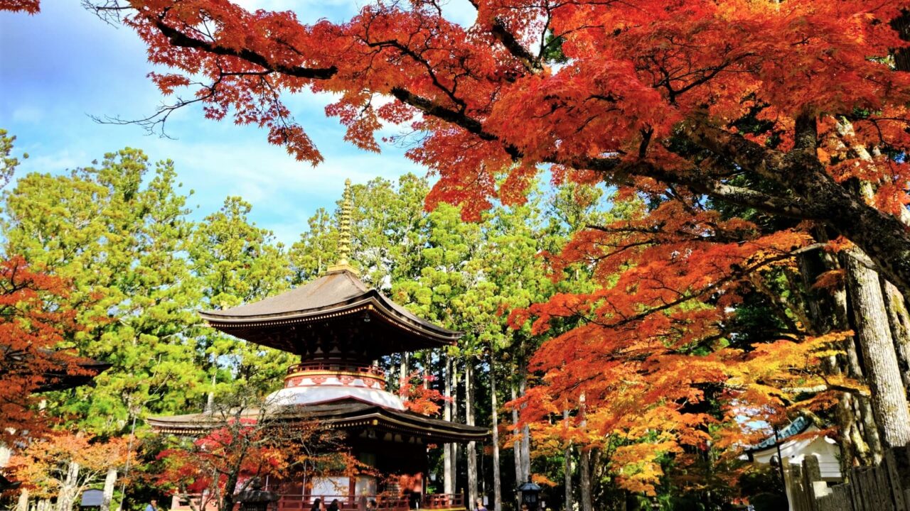 15 Things to Do Around Koyasan (Mount Koya) & Where to Stay - SNOW ...
