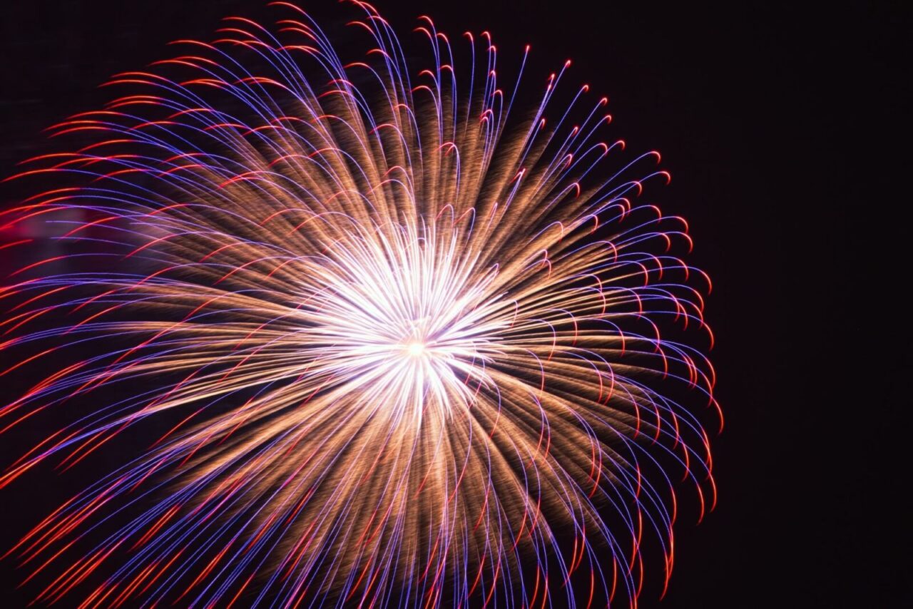 (Special Event) 2-Day Tour: Tenryu River Rafting, Tea-Picking ...