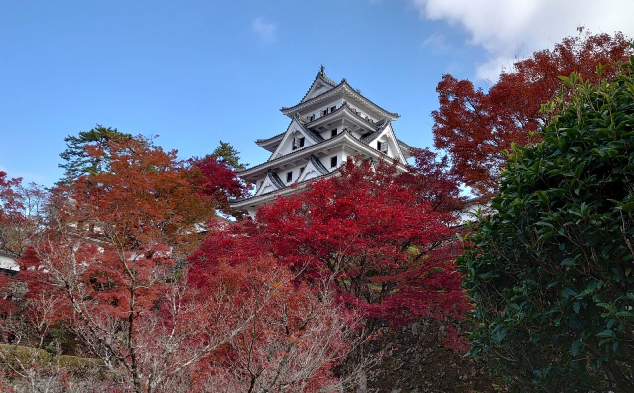 1-Day Tour from Takayama: Gujo Hachiman -History, Traditions and Crafts ...